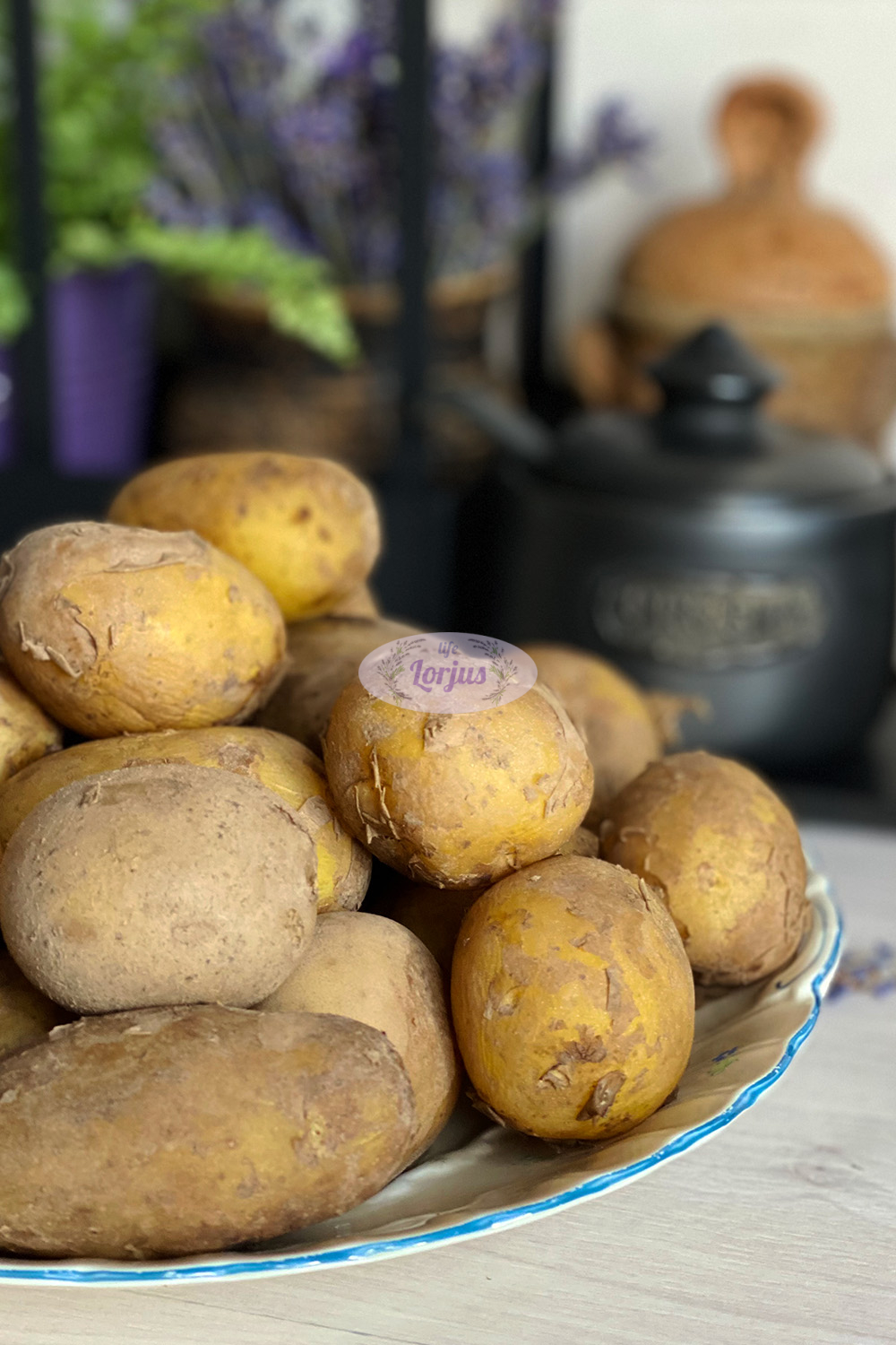 Didžkukuliai su varške – Lorjus Life