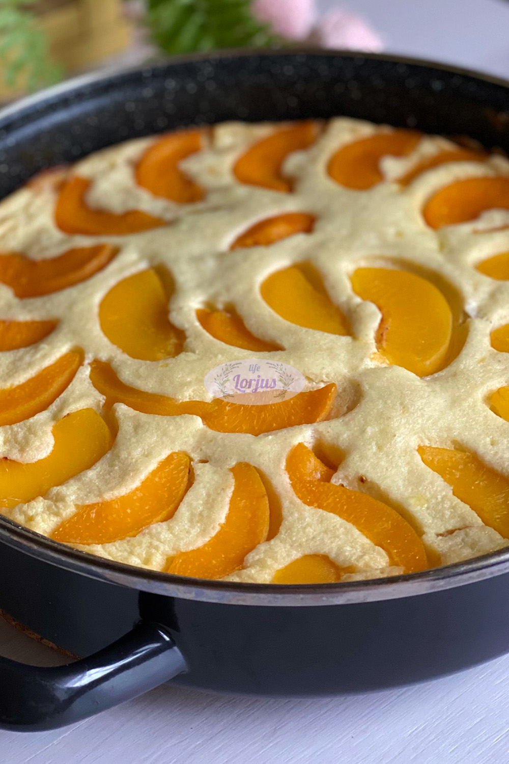 Varškės apkepas su konservuotais persikais – Lorjus Life